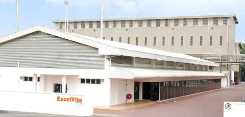 About Us | ExcelVite - Advancing Palm Nutraceutical Science