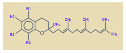 Tocotrienol Complex | ExcelVite - Advancing Palm Nutraceutical Science